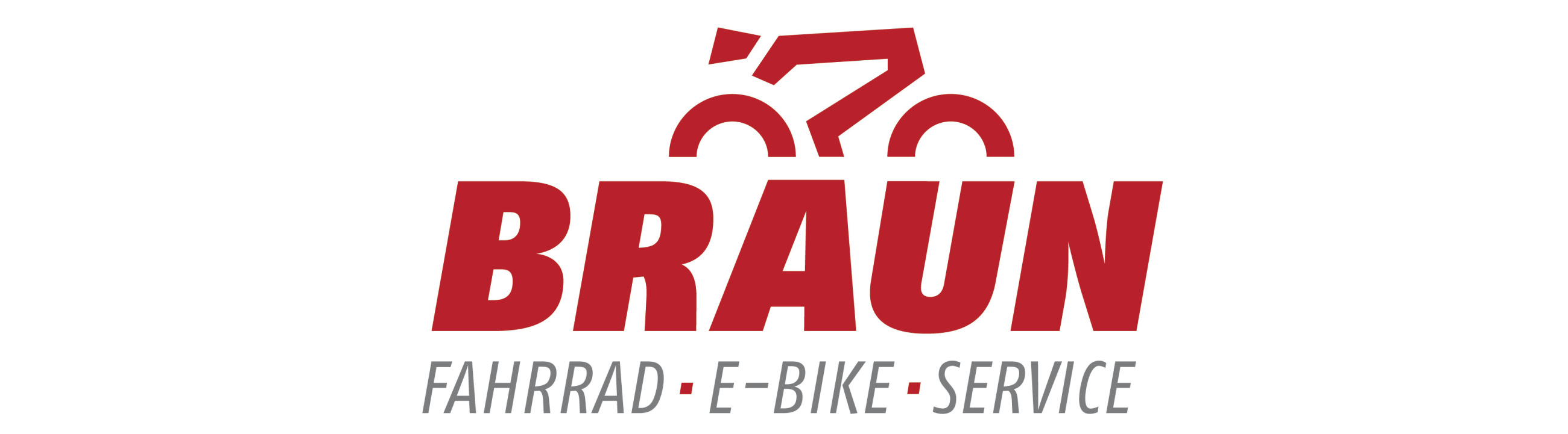 Braun Moosburg Fahrrad